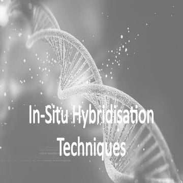 In situ hybridisation procedure detailed ..pptx