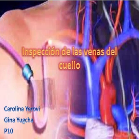 Inspecci n De Las Venas Del Cuello PPTX