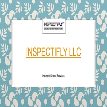 Inspectifly llc Presentation | PPTX