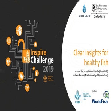 Inspire challenge 2019: Clear insights for healthy fish | PPT