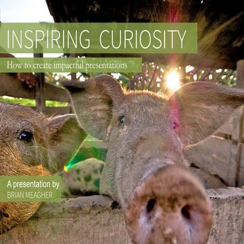 Inspiring Curiosity: How to create impactful presentations | PDF