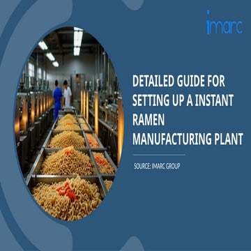 Project Report on Instant Noodles Manufacturing Plant | PPTX