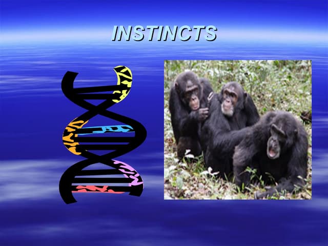 Asexual and Sexual Reproduction PowerPoint | PPT