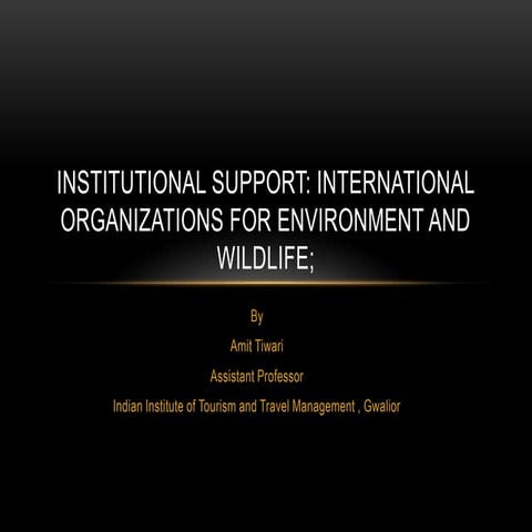 Institutional support international organizations for environment and ...