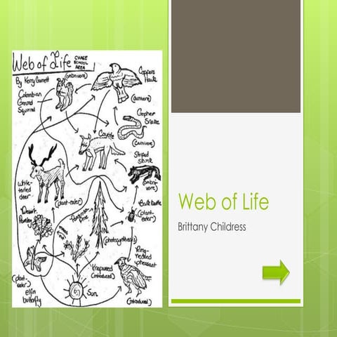 Ecological relationships | PPTX