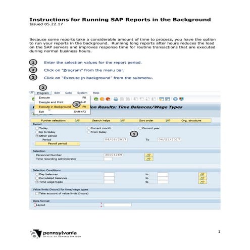 Instructions Sap Reports Background Pdf