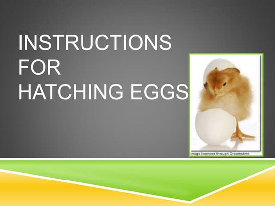 Care and storage of hatching eggs before | PPT