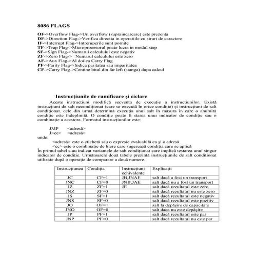 Instructiuni de salt | DOC