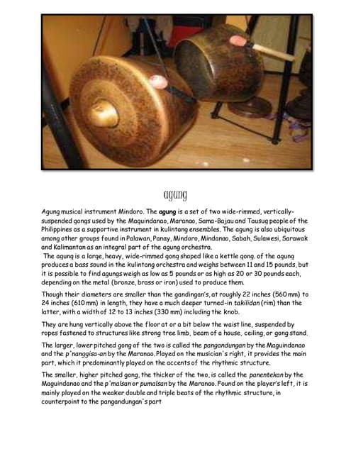 Musical instrument in mindoro palawan and visayas | DOCX | Music ...