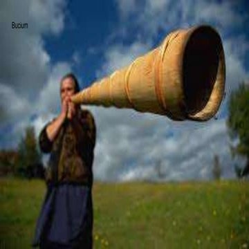 Instrument of romanian | PPTX