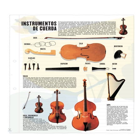 Instrumentos de cuerda | PDF