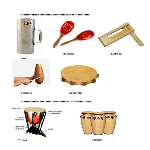 Instrumentos de percusión rítmica sin membrana Instrumentos de ...