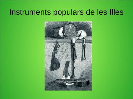 CaracteríStiques D’Alguns Instruments | PPT