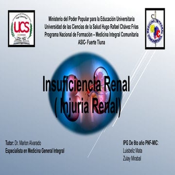 Comprehensive Overview of Renal Insufficiency: Anatomy, Diagnosis, and ...
