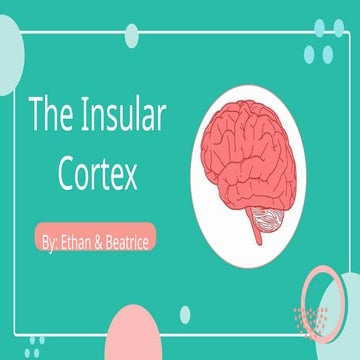Insular Cortex-Ethan and Beatrice.pptxaa | PPTX