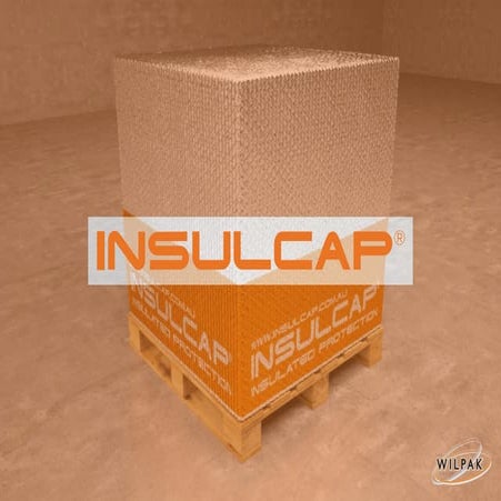 Insulcap | PPT