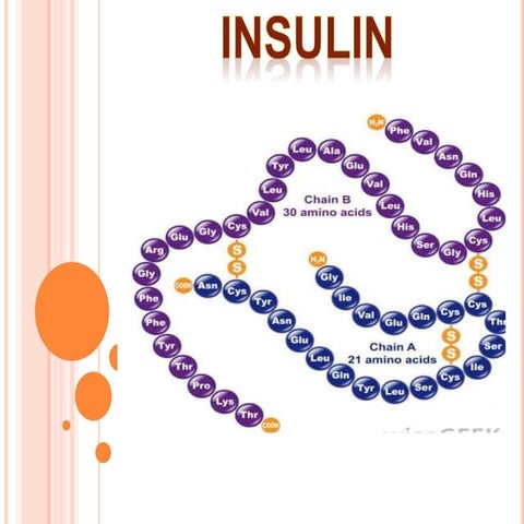 Insulin | PPTX