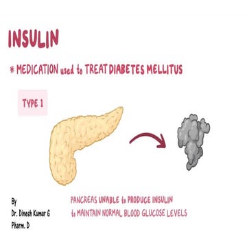 Insulin | PDF