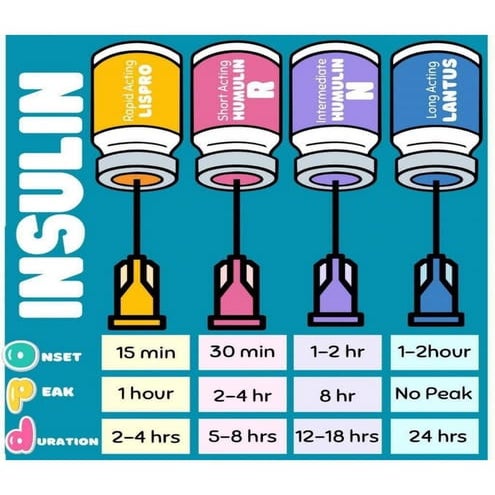 Insulin.pdf
