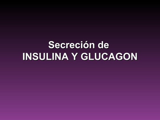Pancreas Endocrino Fisiologia KarinaBerm | PPT