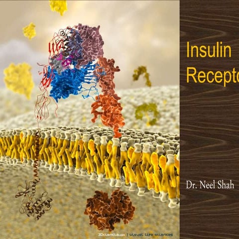 Mechanism of action of insulin | PPTX