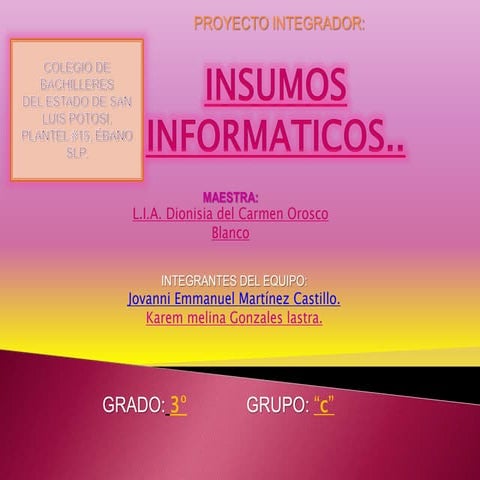 Insumos informaticos | PPTX