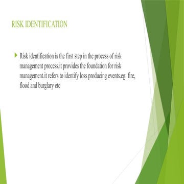 Insurance and Risk Management Power Point | PPTX