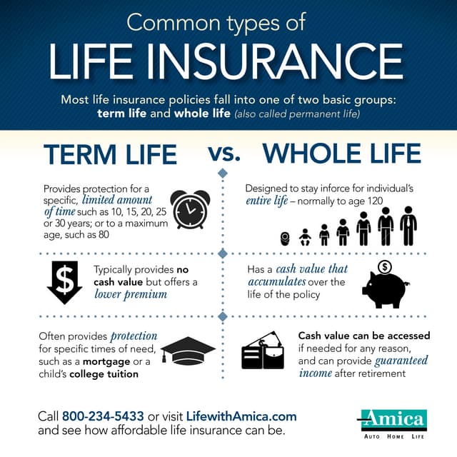 Common Types of Life Insurance Infographic | PDF
