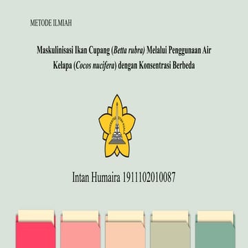 INTAN HUMAIRA_1911102010087_TUGAS PPT METIL 01.pptx