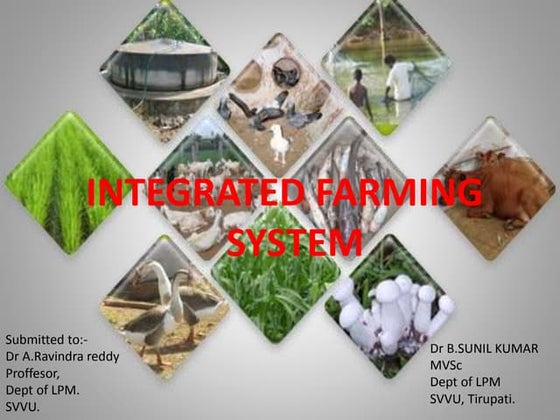 integrated farming system | PPT