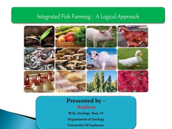 INTEGRATED MULTI TROPHIC AQUACULTURE (IMTA) | PPTX | Agriculture ...