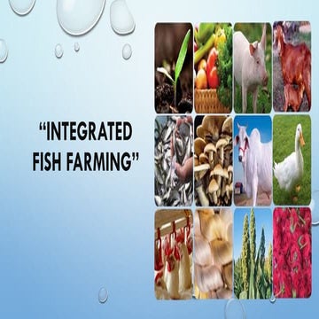 fish culture.pdf