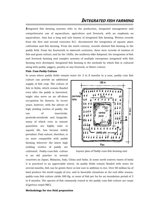 introduction to ms office –word,excel & powerpoint | PPTX