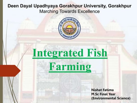 Semi intensive fish culture system | PPTX | Fish and Aquariums | Pets