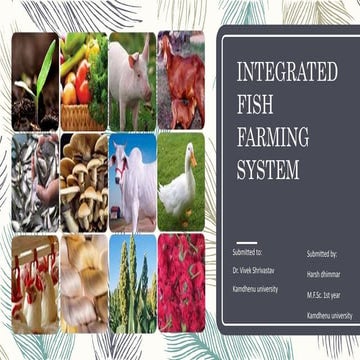 Integrated fish farming system | PPTX