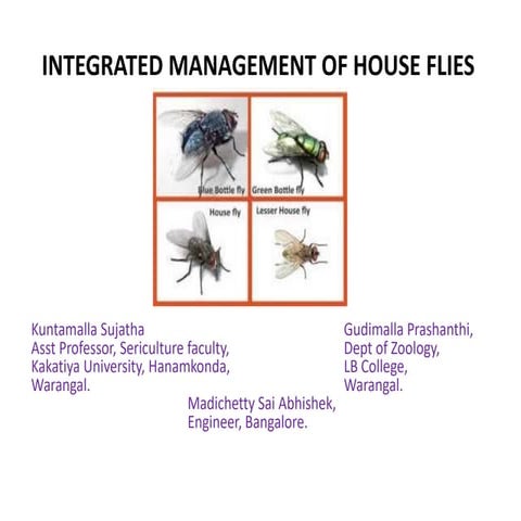Integrated management of House Flies.pptx