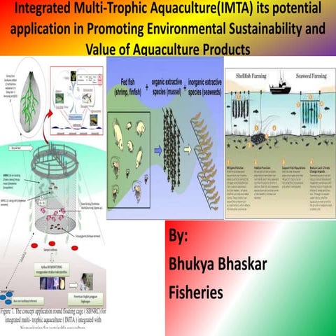 Integrated Multi-Trophic Aquaculture(IMTA) its applications by B.pptx