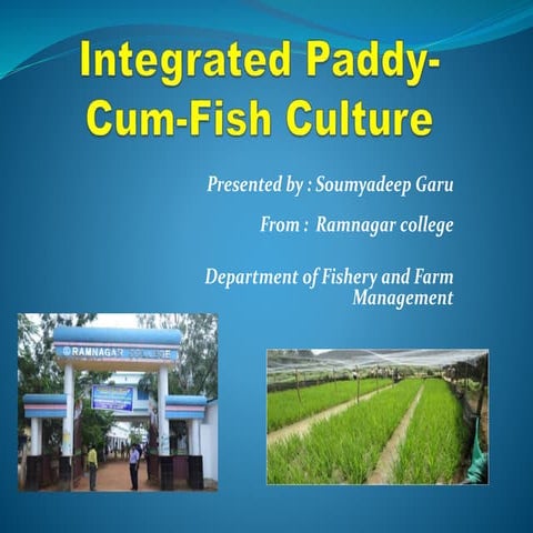 Integrated Paddy-Cum-Fish Culture 19.2.2022 PDF.pptx