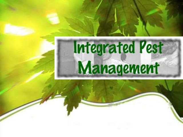 Integrated Pest Management (IPM) | PPTX
