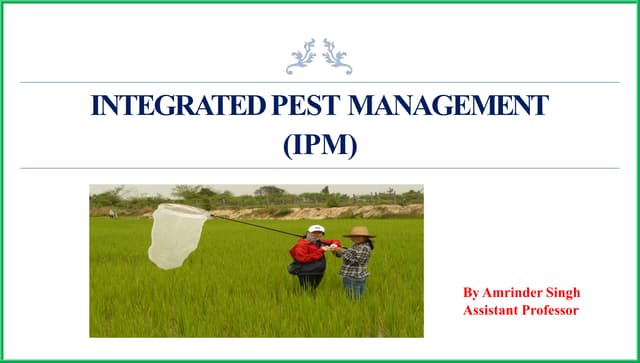 Different sampling techniques for insect population estimation | PDF