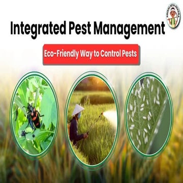 IPM:- Integrated Pest Management | PPTX