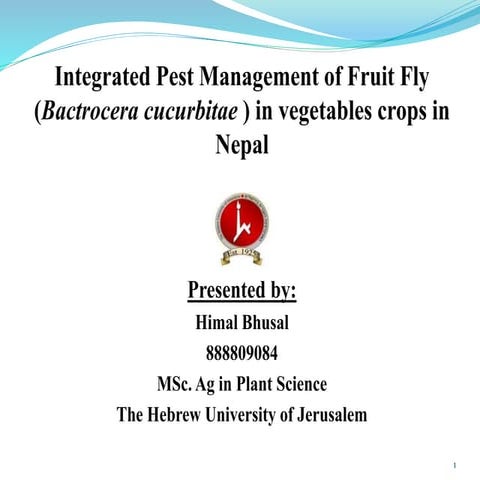 Integrated pest management of fruit fly (bactrocera cucurbitae ) in vegetables crops nepal,himal ...