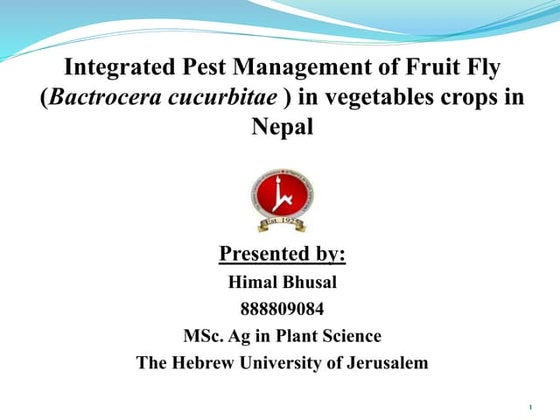 Integrated pest management for fruitfly.pptx