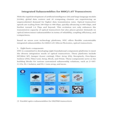 Integrated Subassemblies for 800G 1.6T Transceivers.pdf