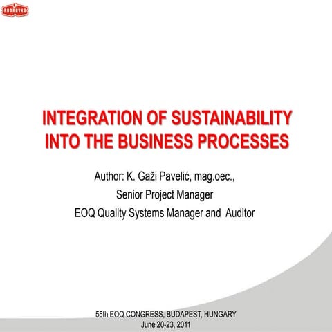 Integration of sustainability into the business processes | PDF