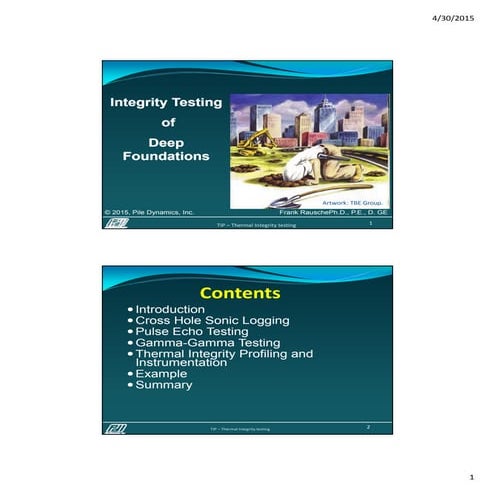 Integrity frank rausche | PDF