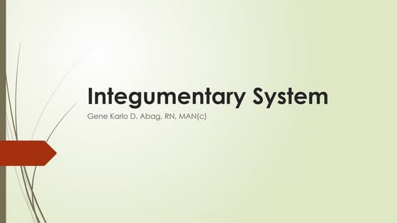 Integumentary system.pdf………for college……… | PDF