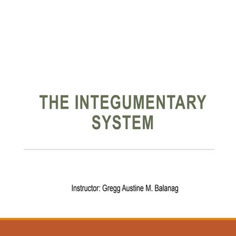 Skin anatomy and physiology | PPTX