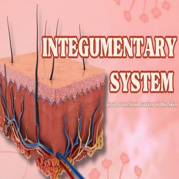 Integumentary-System - a topic to be discussed | PPTX