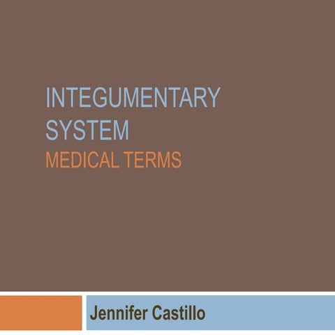 Integumentary System | PPTX